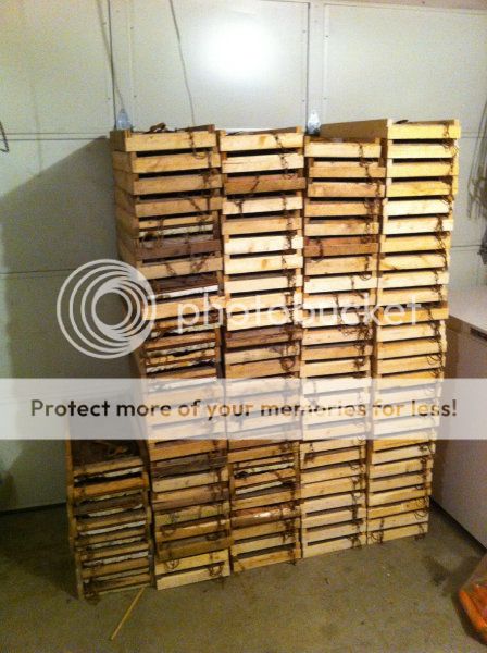 Canadian Trappers Talk Forum • View topic - Muskrat Floats and traps ...